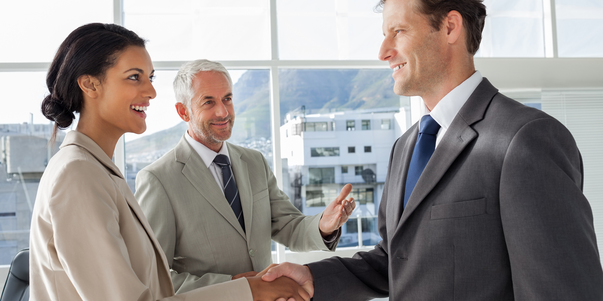 Business Partners - LOVIS
